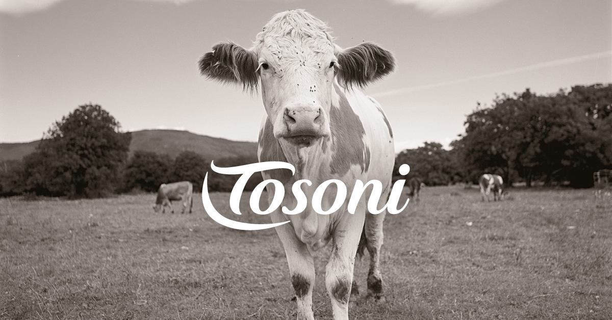 Tosoni Formaggi | STUDIODEPERU